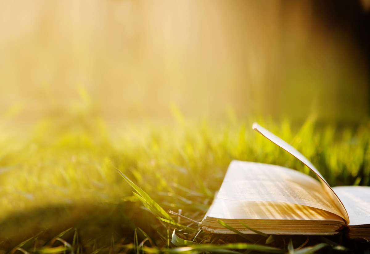 How Long Does It Take To Write A Book Or Novel KaranBajaj