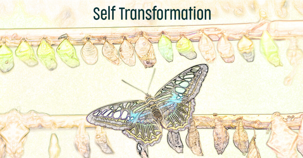 Three Steps to Truly Transform Yourself (5 Minute Video) - Self ...